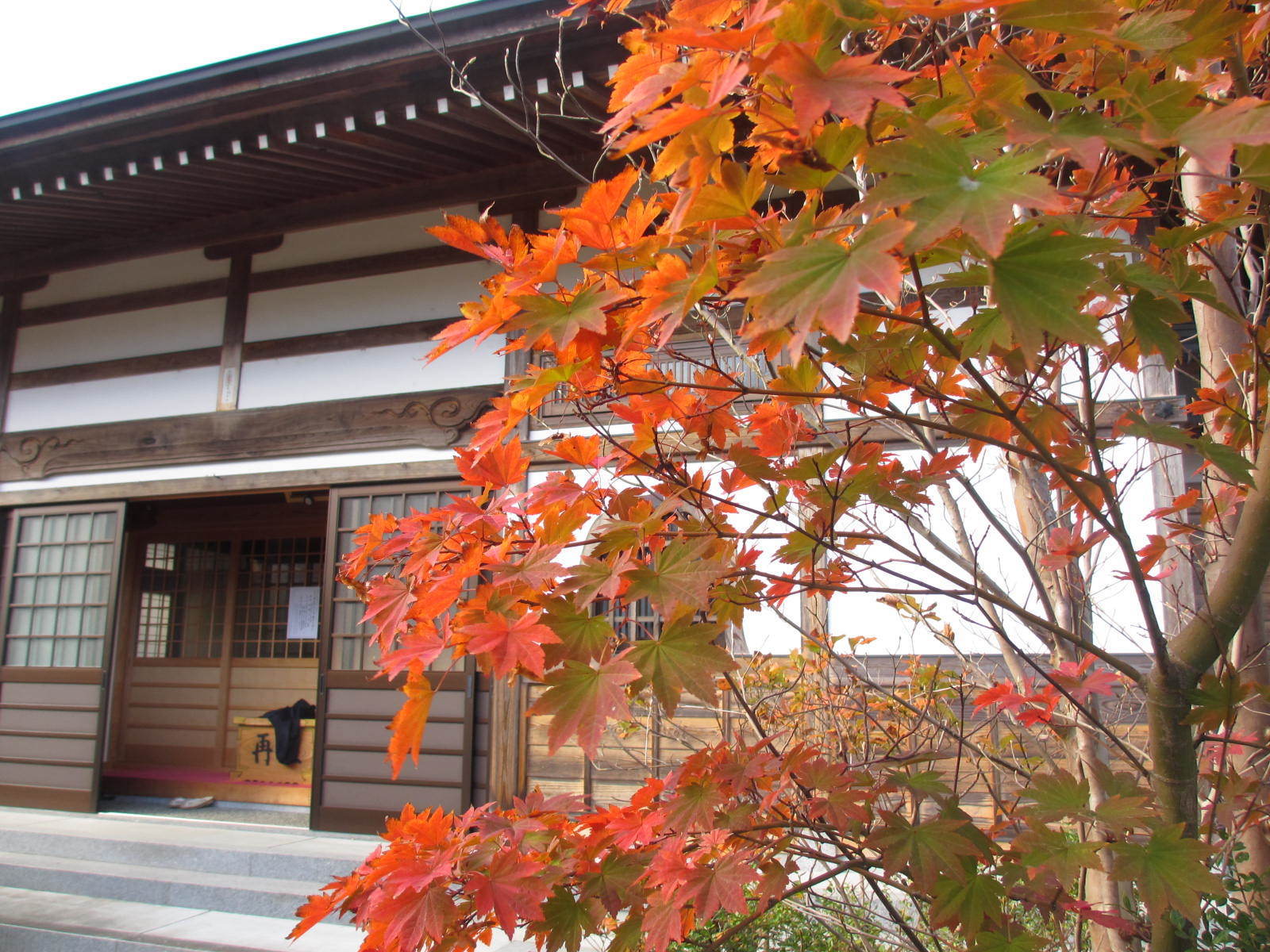 「ものには順序」: 再生への旅